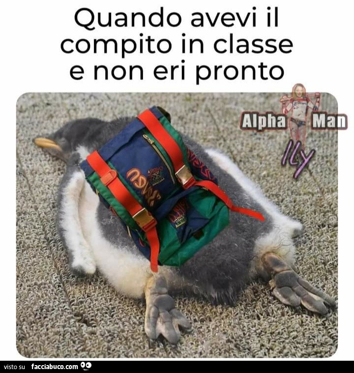 Quando avevi il compito in classe e non eri pronto - Facciabuco.com