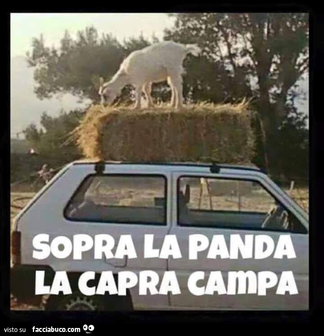 Tutti i meme su Capra - Facciabuco.com