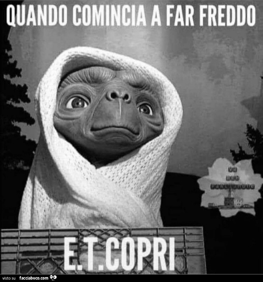 Mezz'ora di vergogna per questo meme me la merito ??????… - Facciabuco.com