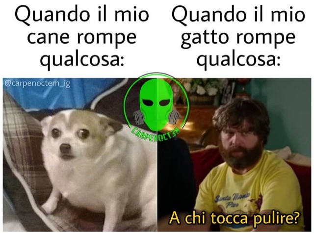 Tutti i meme su Una Notte da Leoni - Facciabuco.com