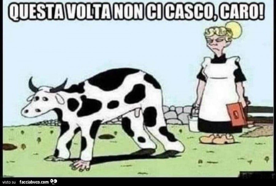 Tutti i meme sulle Mucche - Facciabuco.com