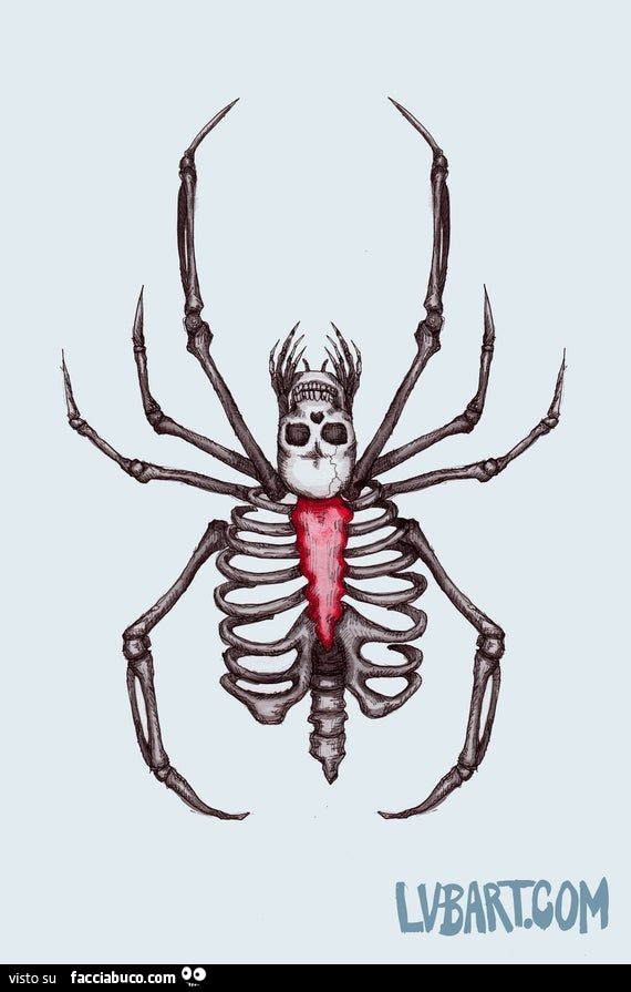 Scheletro ragno - Facciabuco.com