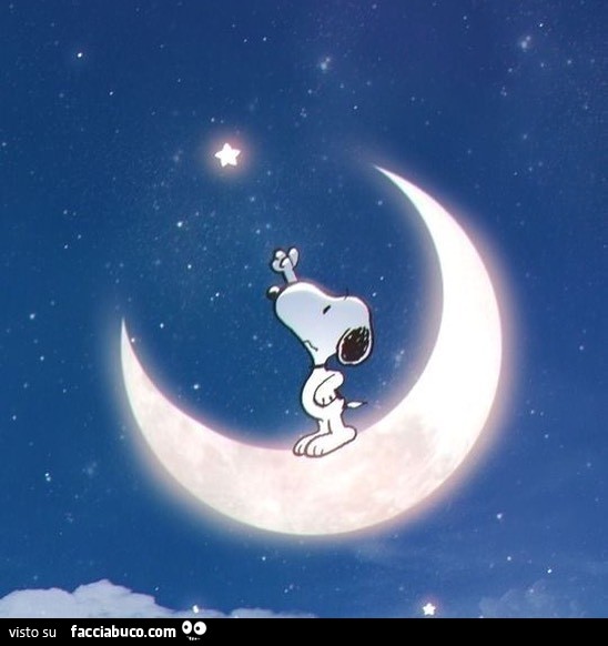Snoopy sulla luna - Facciabuco.com