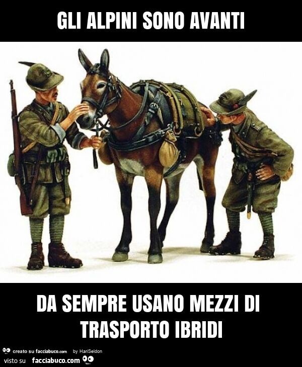 Tutti i meme sugli Alpini - Facciabuco.com