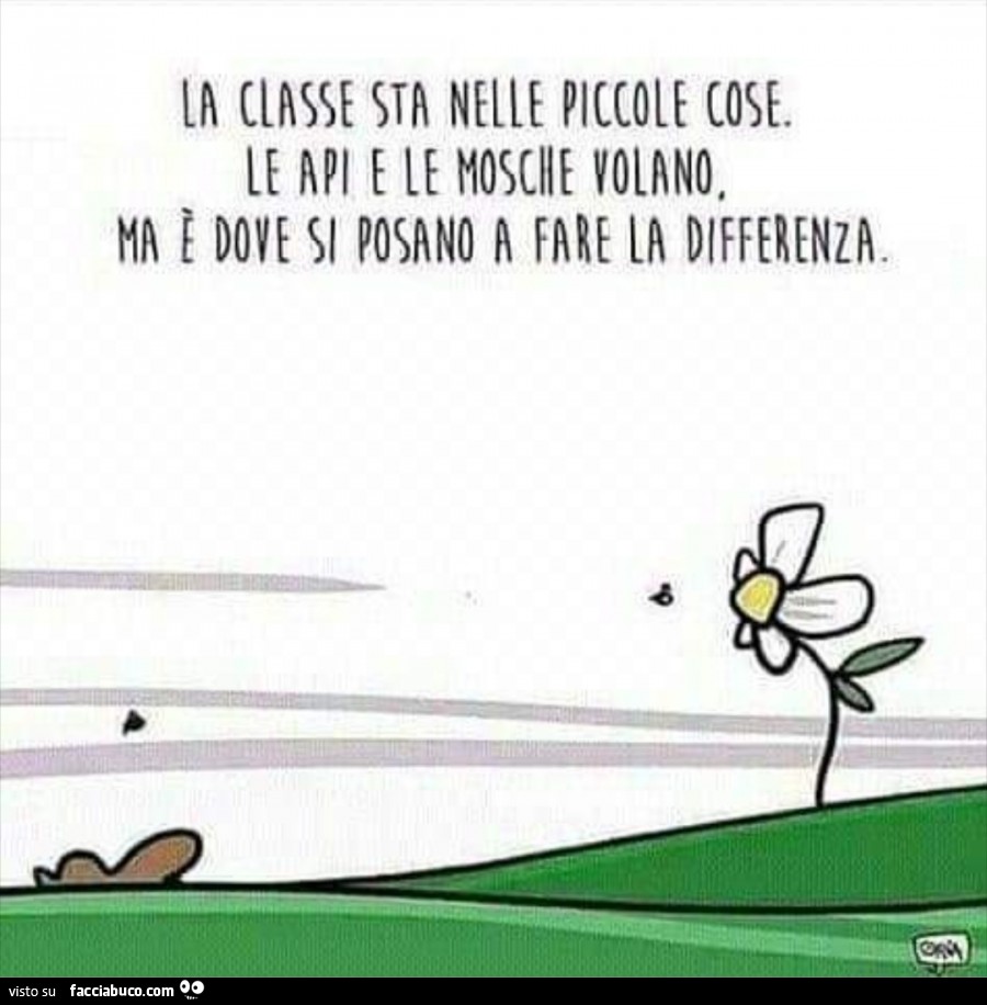La classe sta nelle piccole cose. Le api e le mosche volano. Ma è dove ...