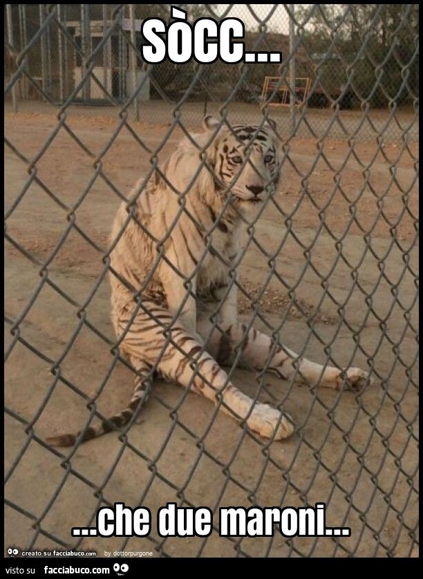 Tutti i meme sulla Rottura di palle - Facciabuco.com