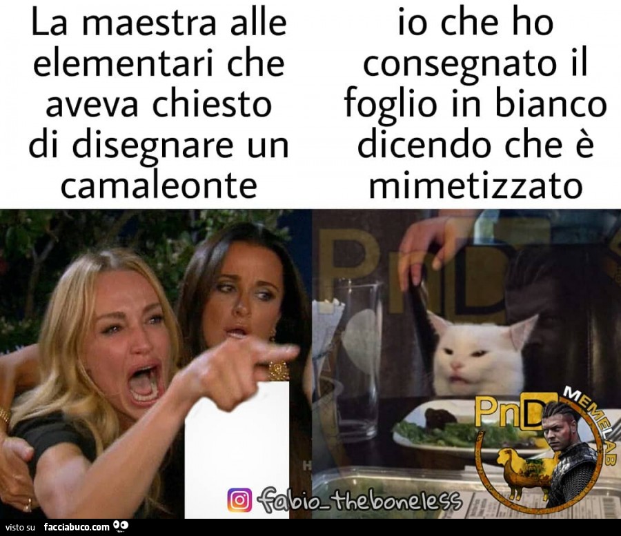 Tutti i meme sulla Donna che urla al gatto - Facciabuco.com